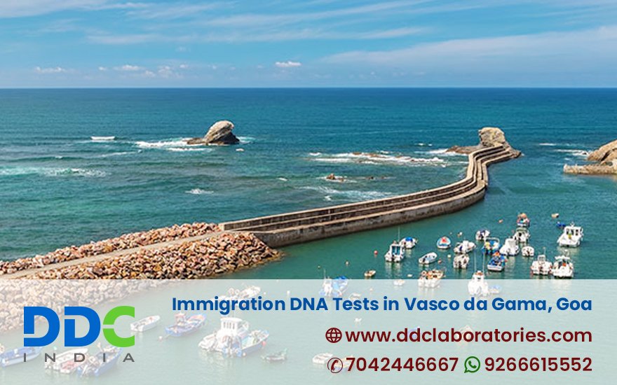 Immigration DNA Tests in Vasco da Gama Goa - DDC Laboratories India
